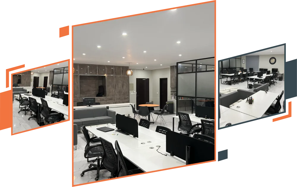 A Nest To Grow Dynamically | Stampa Solutions